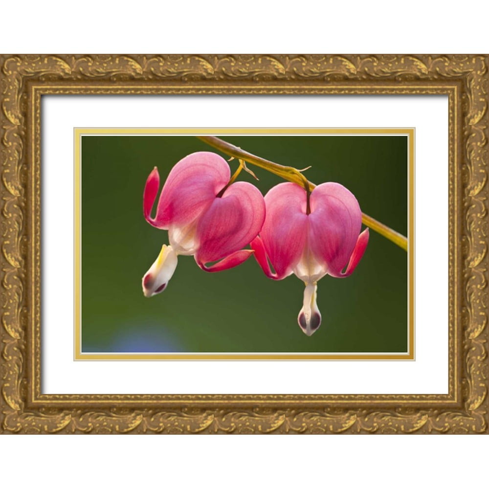 Rotenberg, Nancy 32x23 Gold Ornate Wood Framed with Double Matting Museum Art Print Titled ...