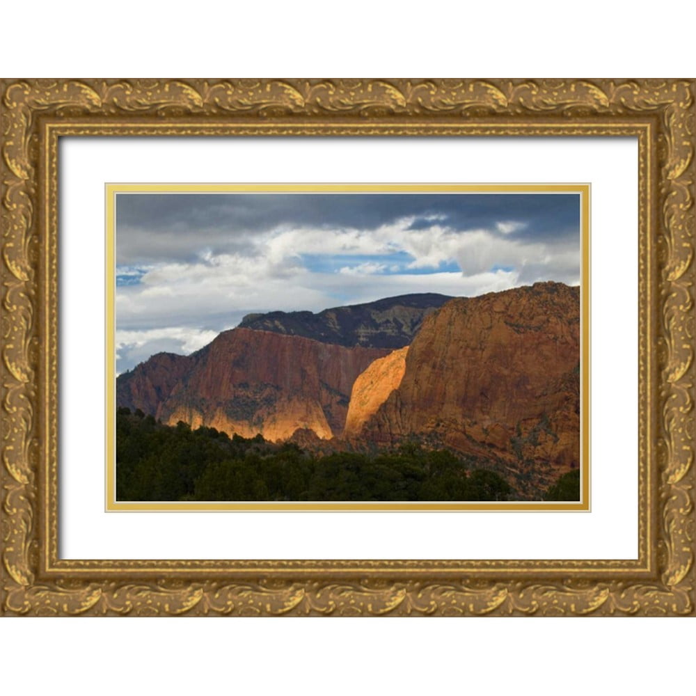 Rotenberg, Nancy 32x23 Gold Ornate Wood Framed with Double Matting ...