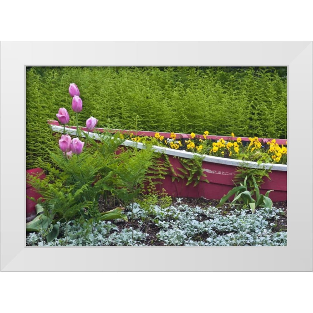 Rotenberg, Nancy 32x23 White Modern Wood Framed Museum Art Print Titled ...