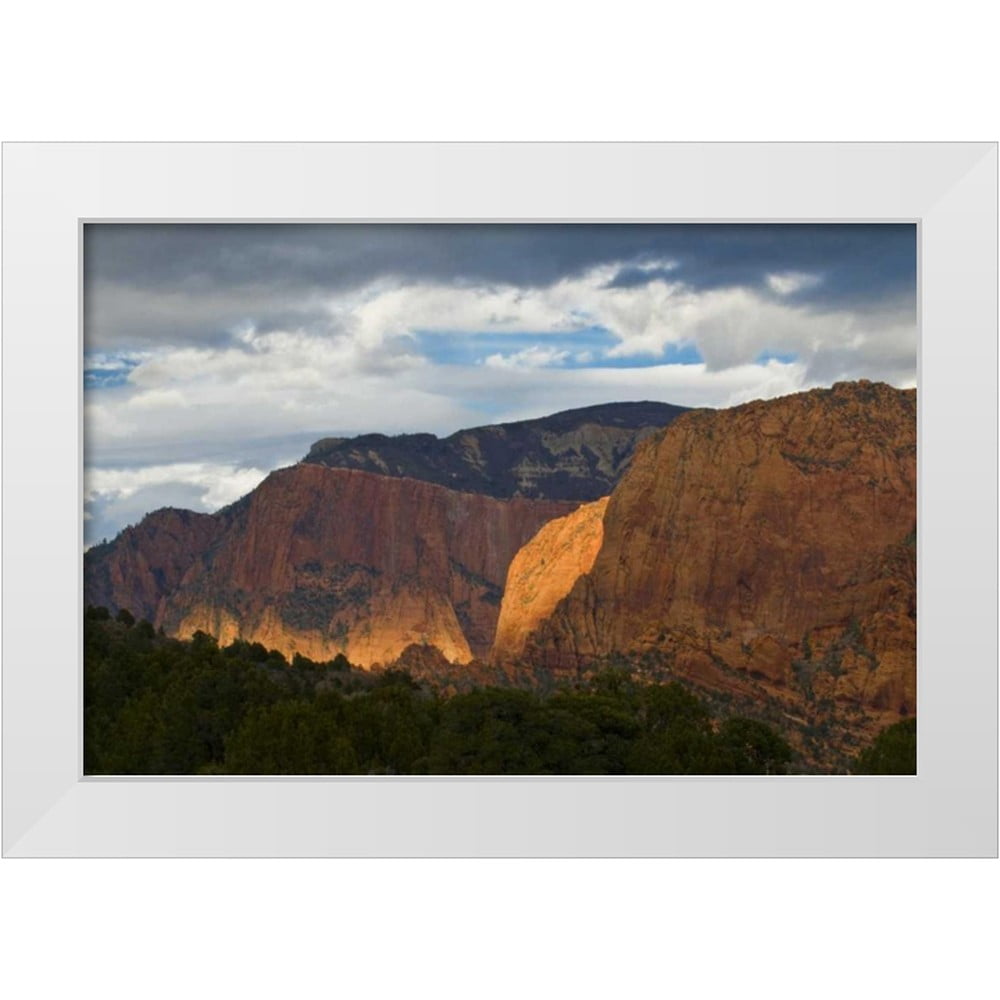 Rotenberg, Nancy 32x23 White Modern Wood Framed Museum Art Print Titled ...