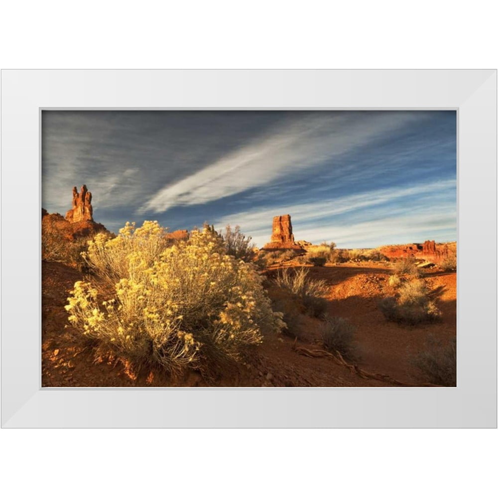 Rotenberg, Nancy 32x23 White Modern Wood Framed Museum Art Print Titled ...