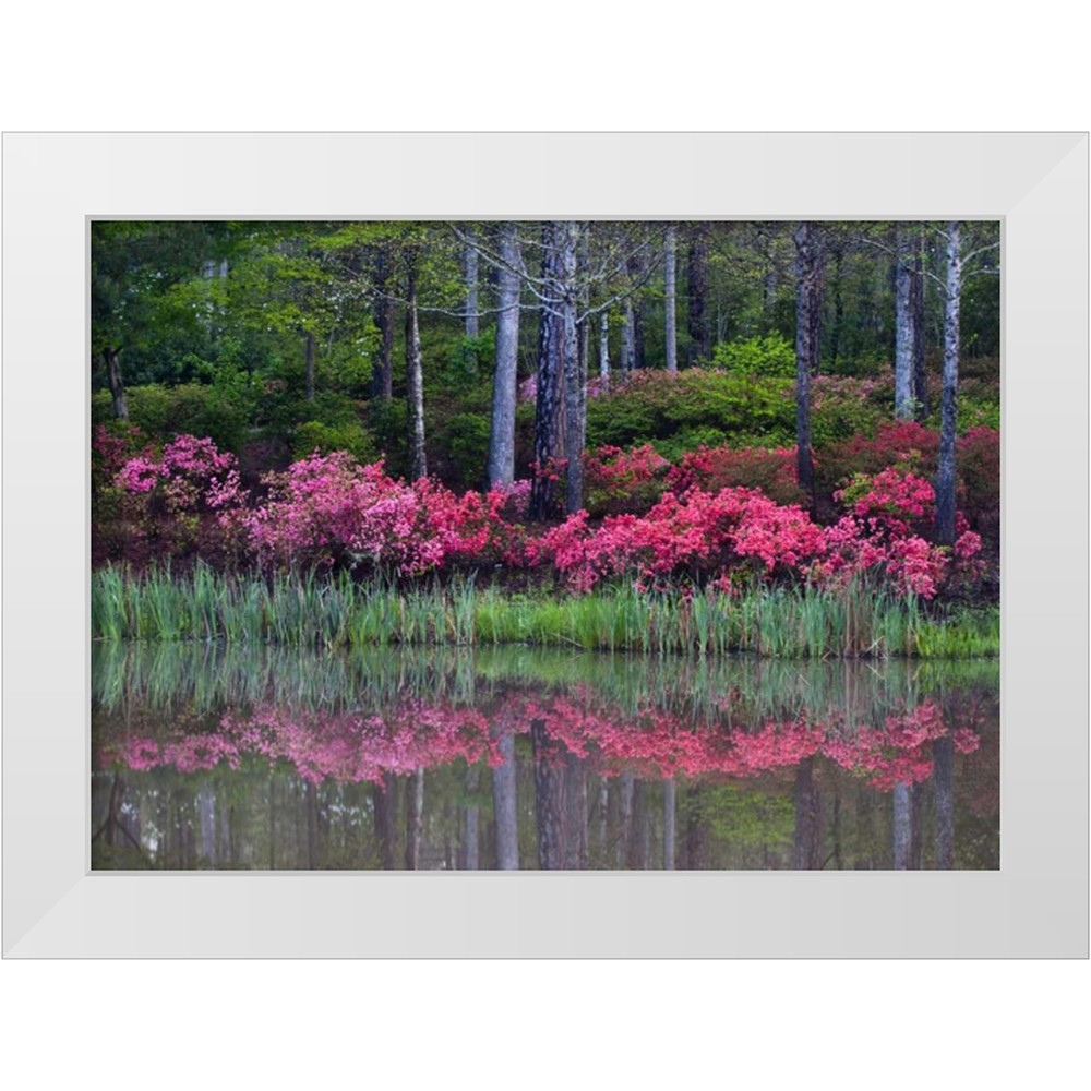 Rotenberg, Nancy 32x24 White Modern Wood Framed Museum Art Print Titled ...
