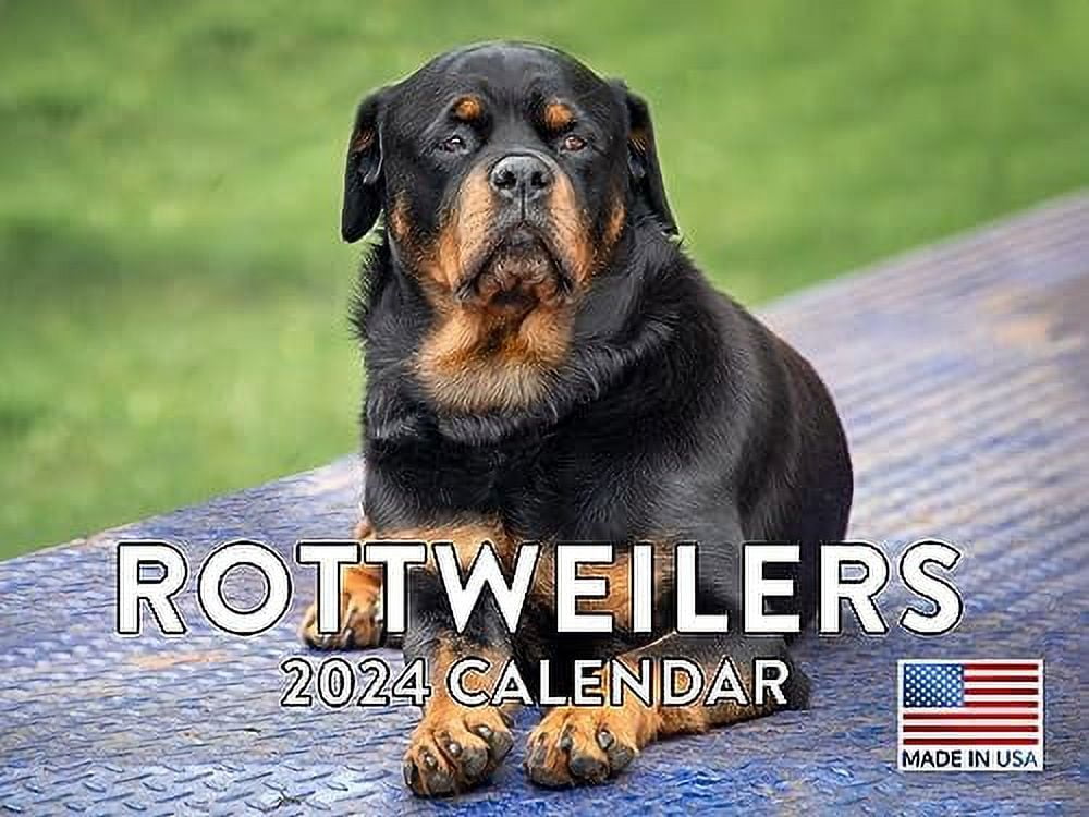 Rottweiler Calendar 2024 - Walmart.com