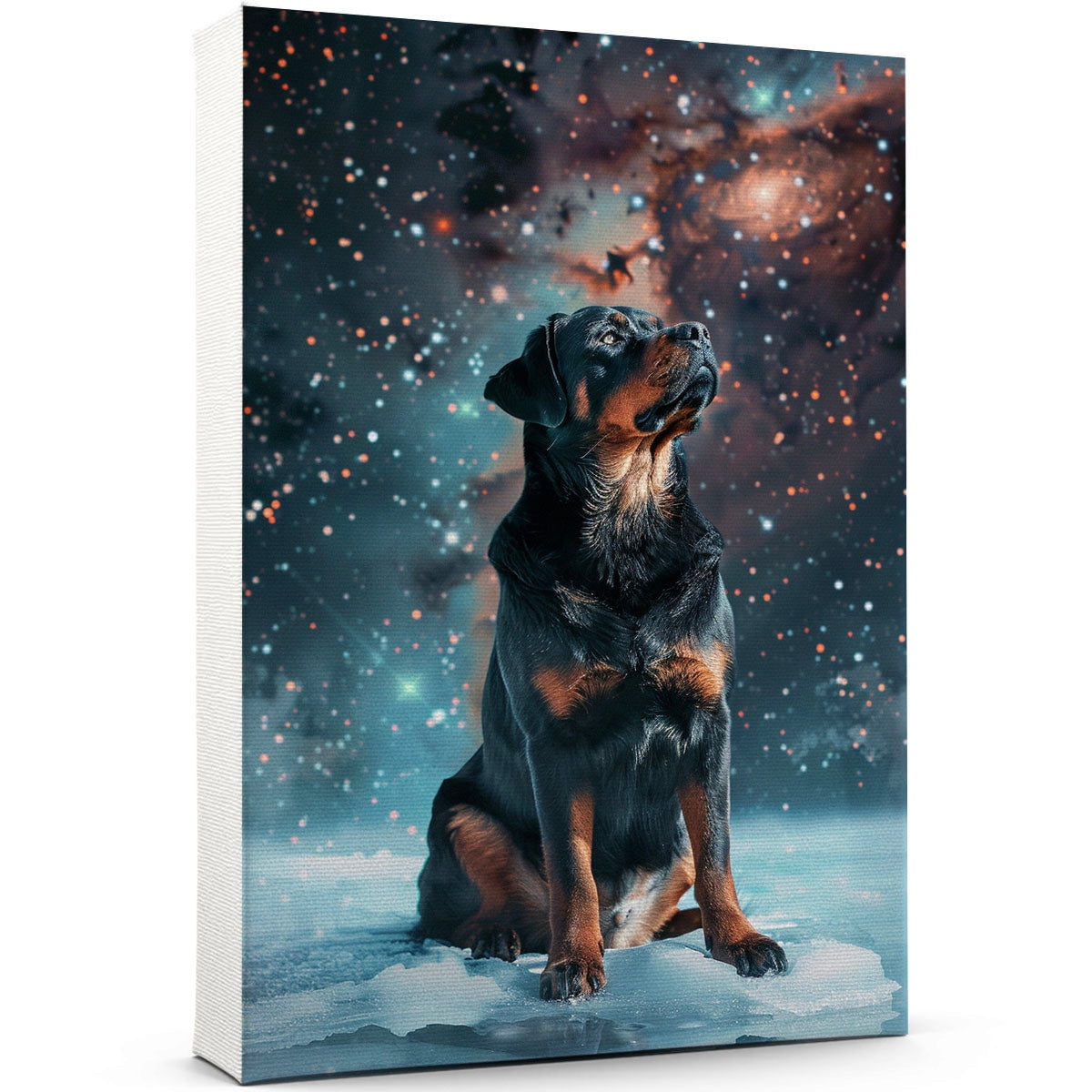 Rottweiler Dog Lying in The Snow Canvas Print Wall Art Famous Painting ...