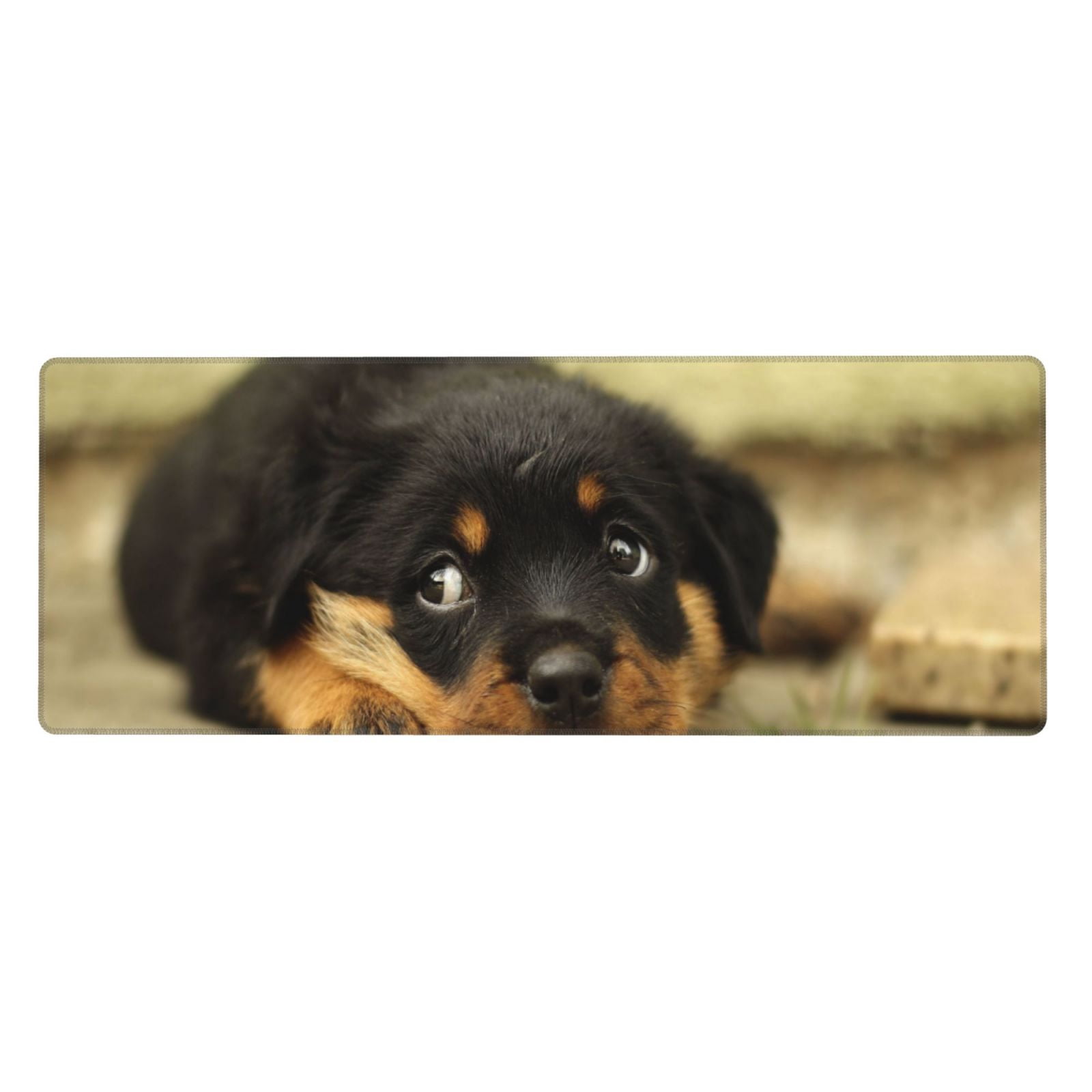 Rottweiler Dogs Cute Dogs Puppy Pets Small Mousepad Large Mouse Pad ...