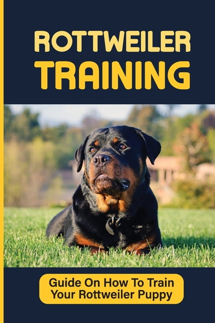 Rottweiler Puppies Training: How To Raise Safe, Potty Training, What ...