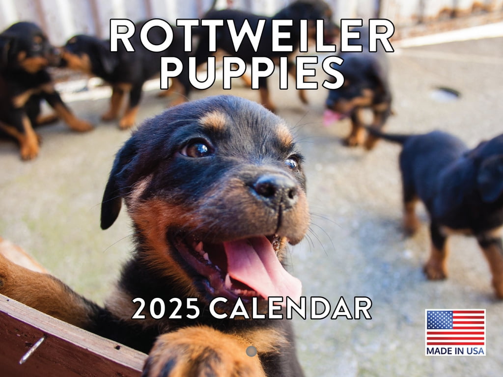 Rottweiler Puppy 2025 Calendar Dog Breed | American Made In The USA ...