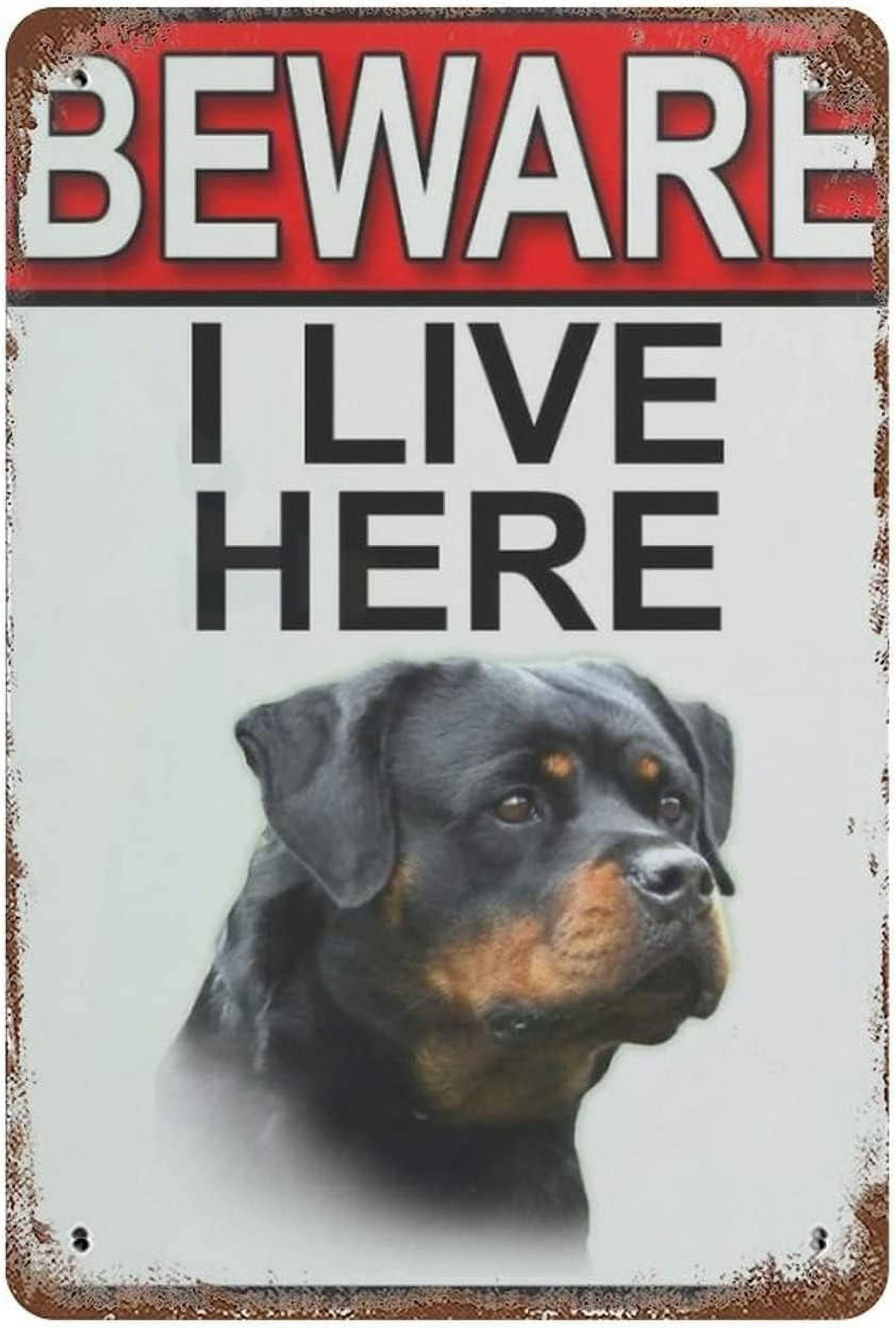 Rottweilers Dog Breed Gate Metal Signs Beware I Live Here Tin Sign ...