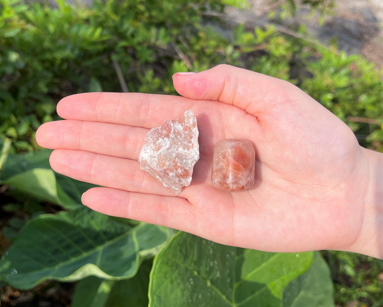 Rough Natural + Tumbled Stone Set: You Choose (Raw Gem Crystal Healing ...