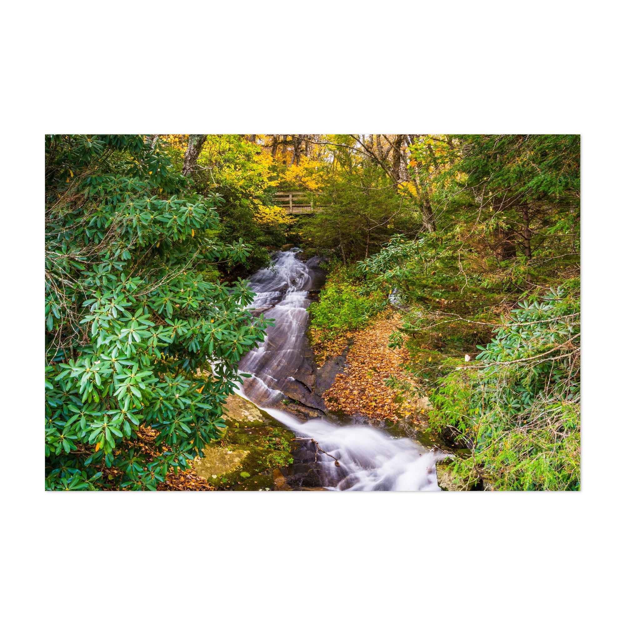 Rough Ridge - North Carolina Photography Waterfall Forest Autumn Nature ...