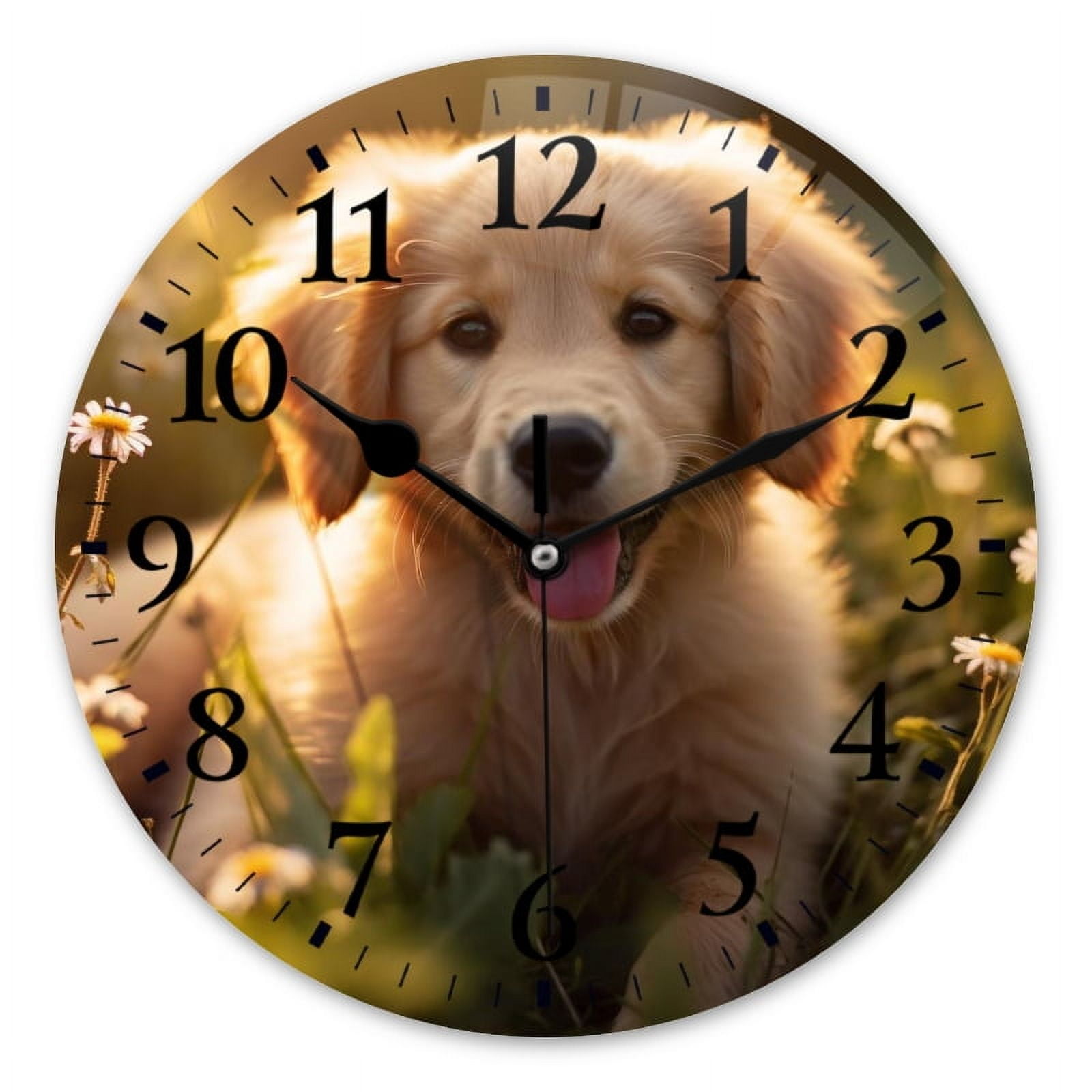 Round Analog Wall Clocks with Non-Ticking Sweep Movement,Battery ...