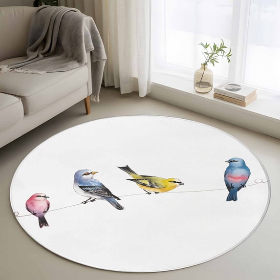 Round Area Rug 4 Ft, Watercolor Birds Washable Non-Slip Circle Carpet ...