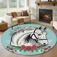 Round Area Rug 8 Ft, Cartoon Horse Washable Non-Slip Circle Carpet for ...