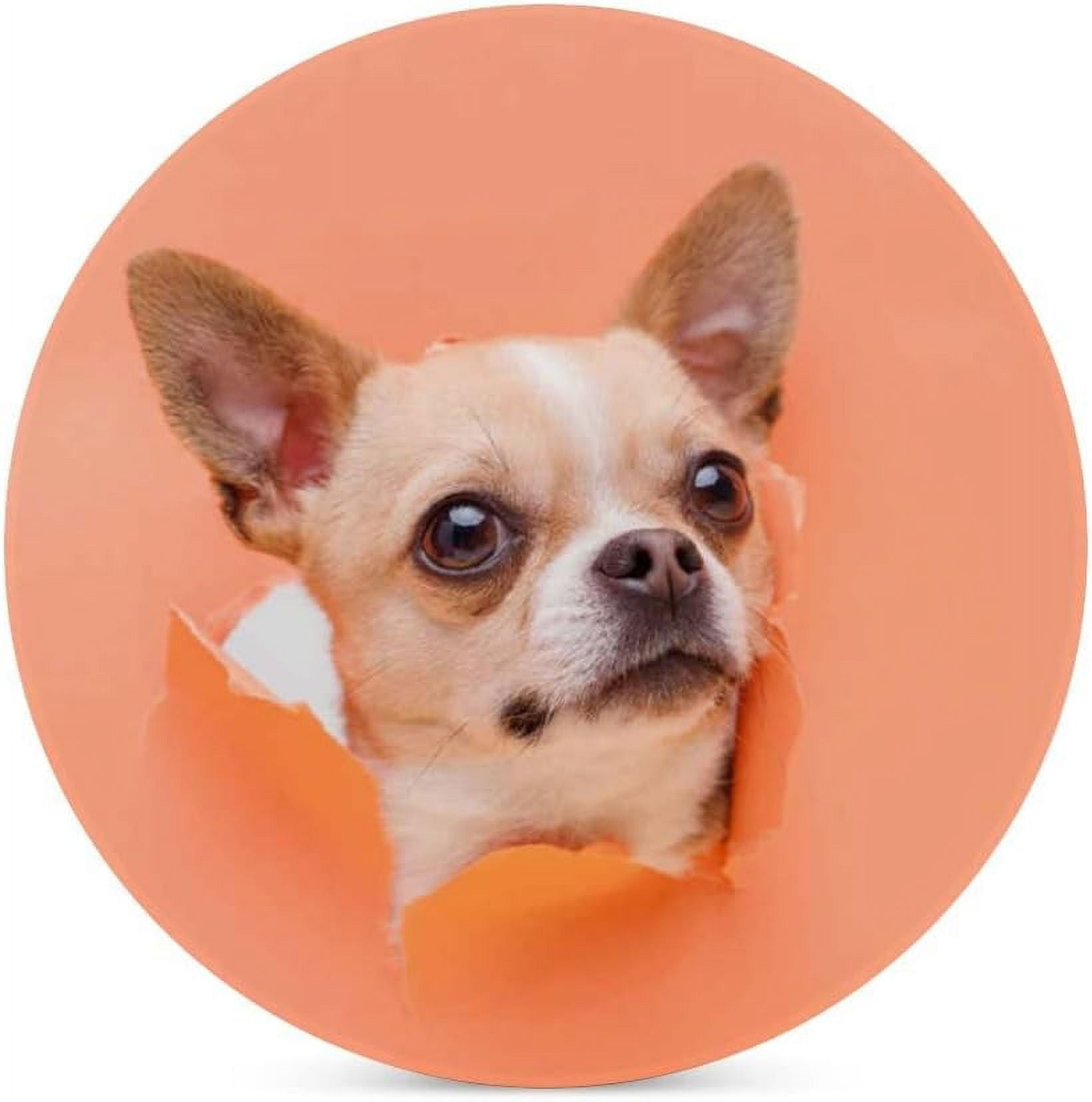 Round Drink Coasters, 1 Pcs Puppy Chihuahua Climbs Out of Hole ...