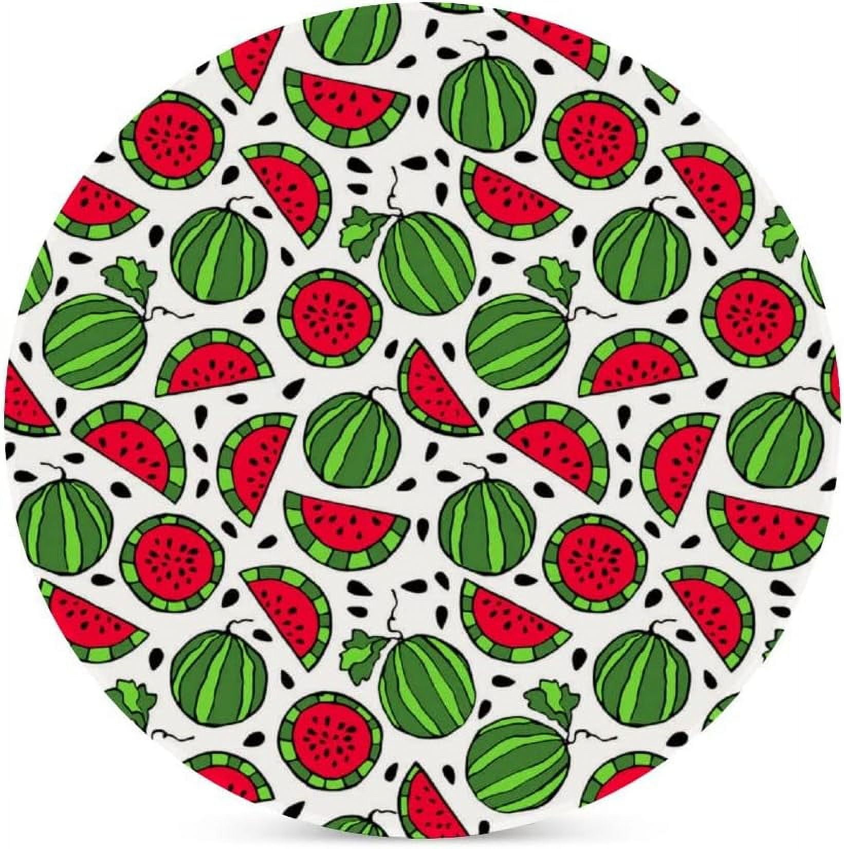 Round Drink Coasters 2 Pcs Slices of Watermelon Absorbent Ceramic ...
