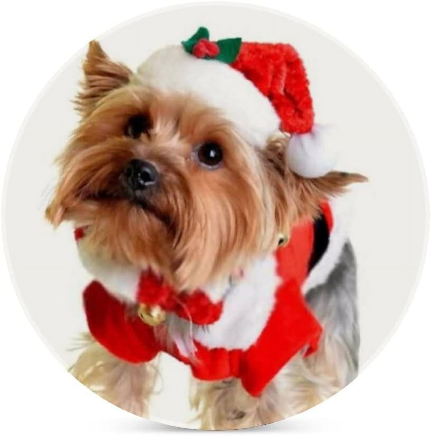 Round Drink Coasters 2 Pcs Yorkshire Terrier Dressed in Santa Dress ...