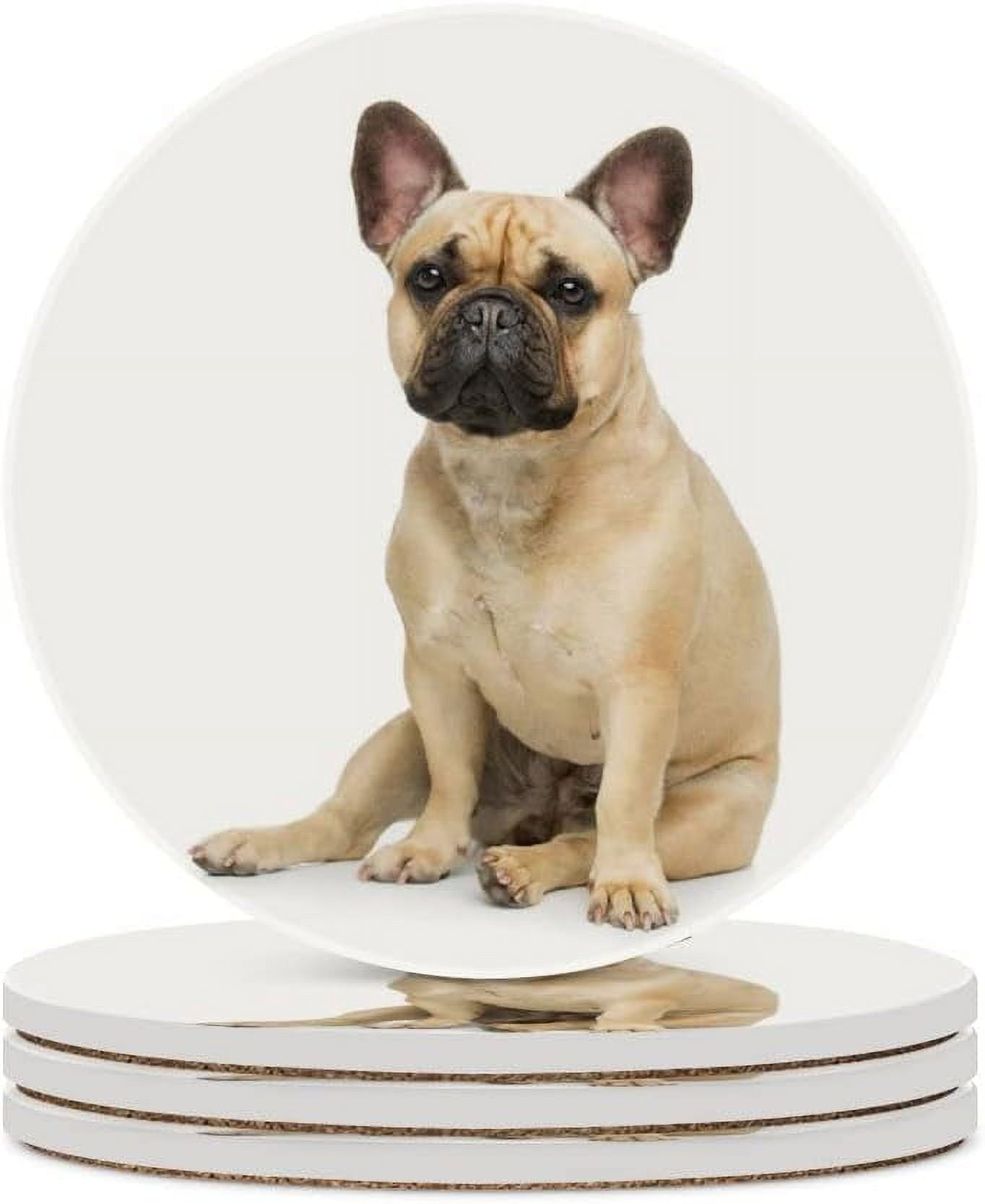 Round Drink Coasters, 6 Pcs Beautiful French Bulldog Dog Absorbent ...