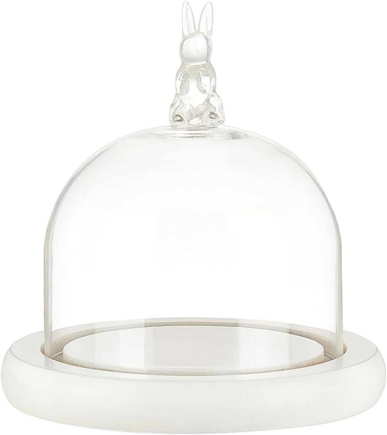 Round Glass Display Dome Cloche Mini Glass Cloche Dome Clear Bell Jar ...