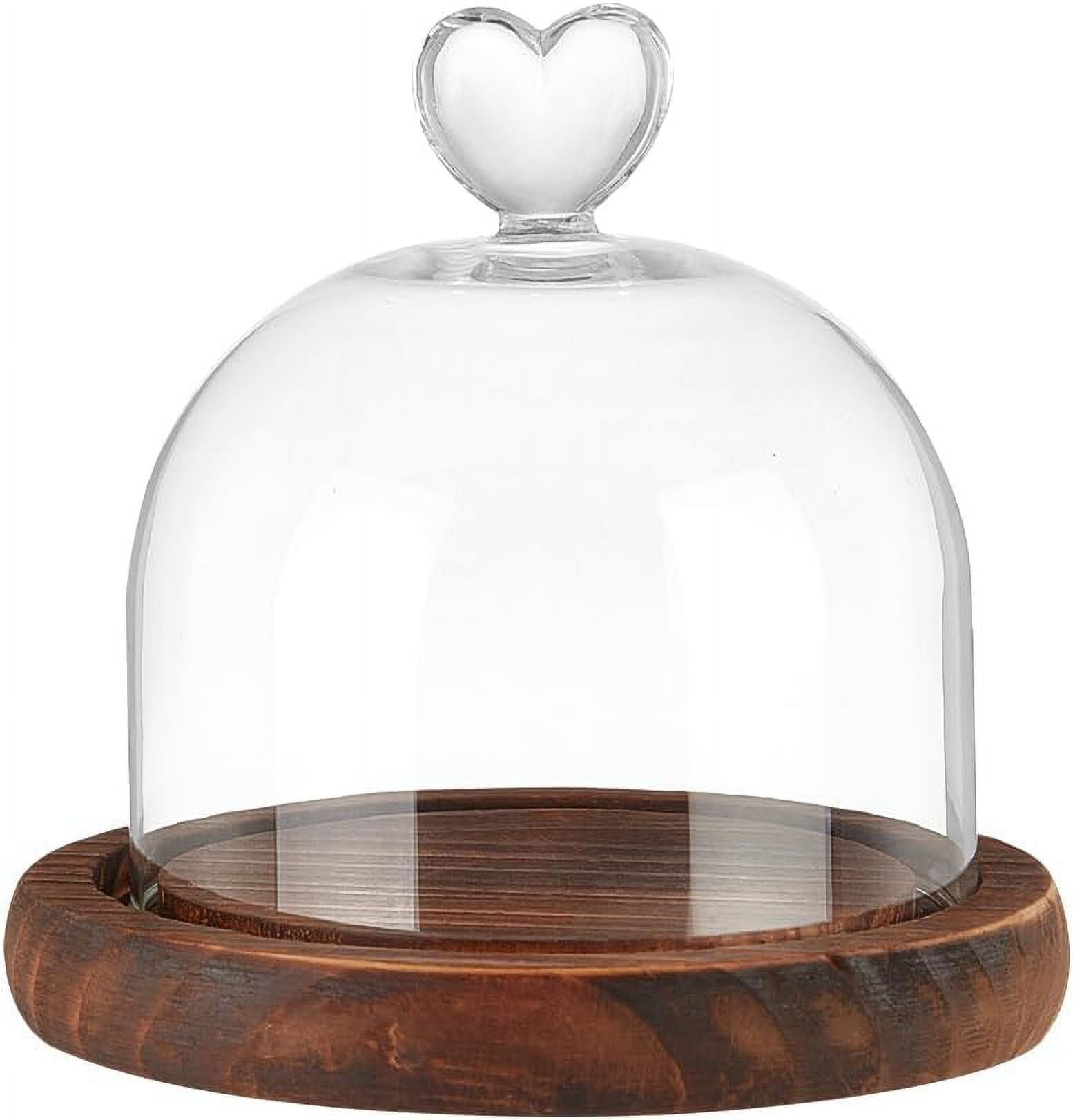 Round Glass Display Dome Cloche Mini Glass Cloche Dome Clear Bell Jar ...