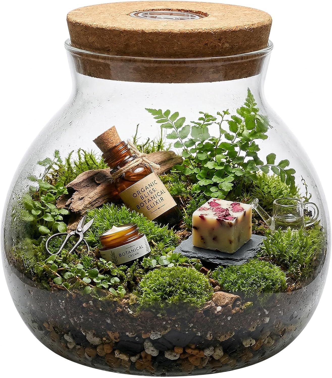 Round Glass Jar Terrarium Succulentm, Glass Terrarium Planter with Cork ...