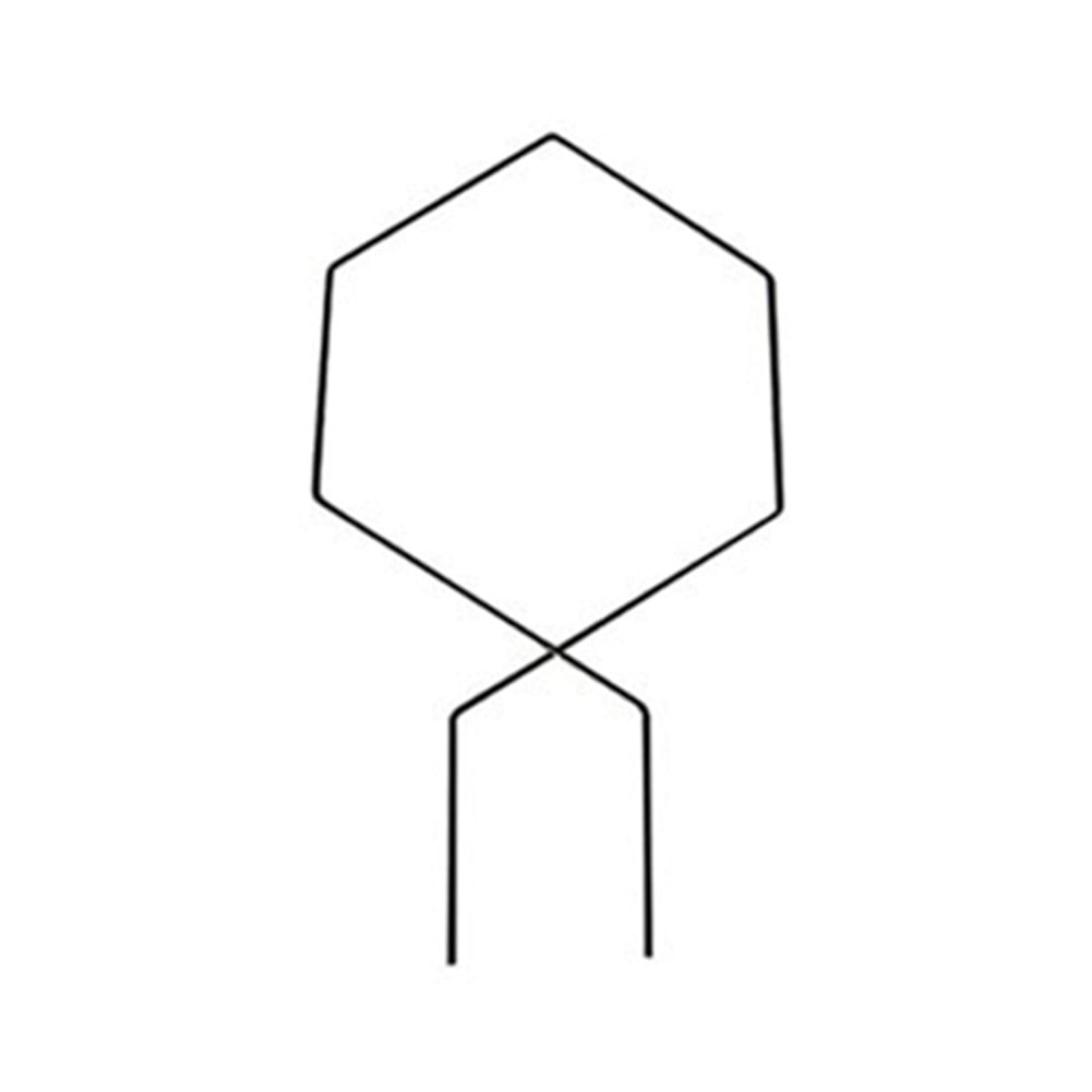 Round & Hexagonal Shape Garden Metal Climbing Plant Support Frame ...