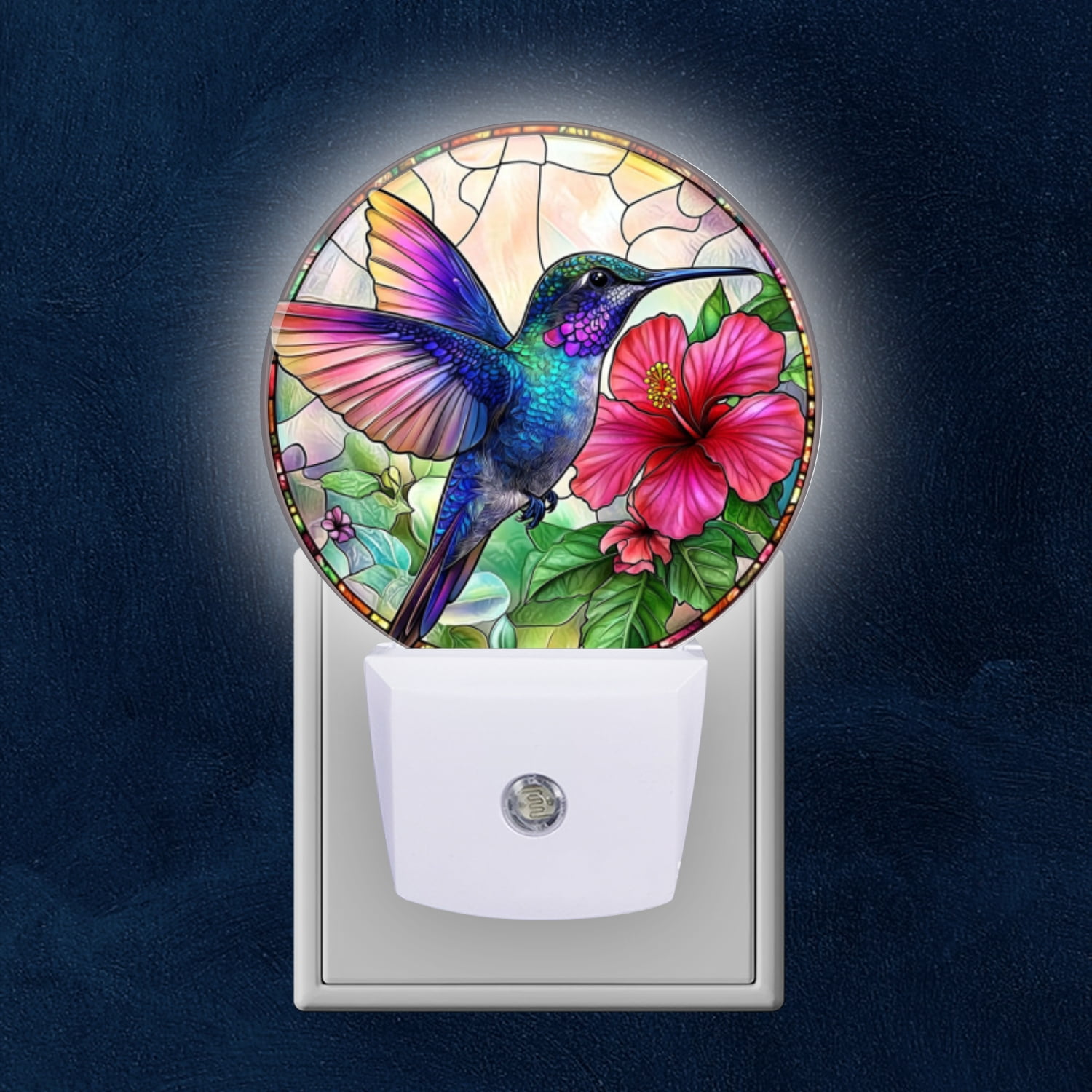 Round LED Night Lights Lamp with Dusk to Dawn Sensor, Hummingbird and ...