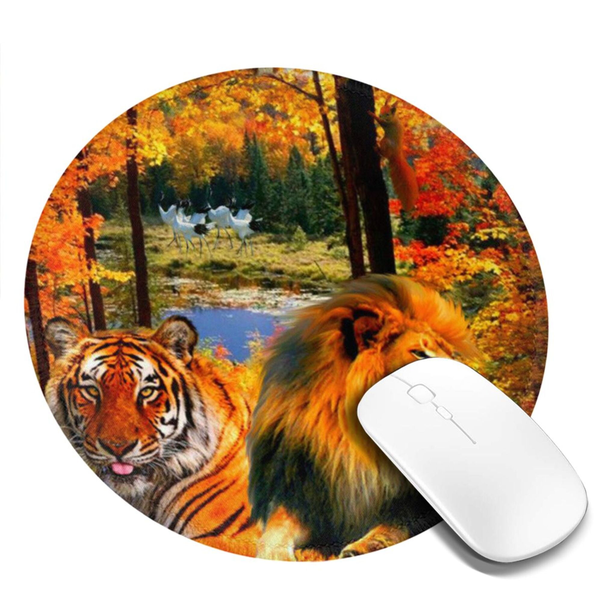 Round Mouse Pad Lion And Tiger High Quality Resolution Wallpaper On Non ...