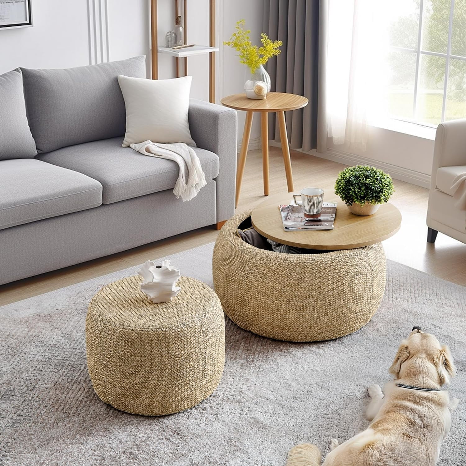 Round Ottoman With Storage, Coffee Table With Set of 2, End Table With ...
