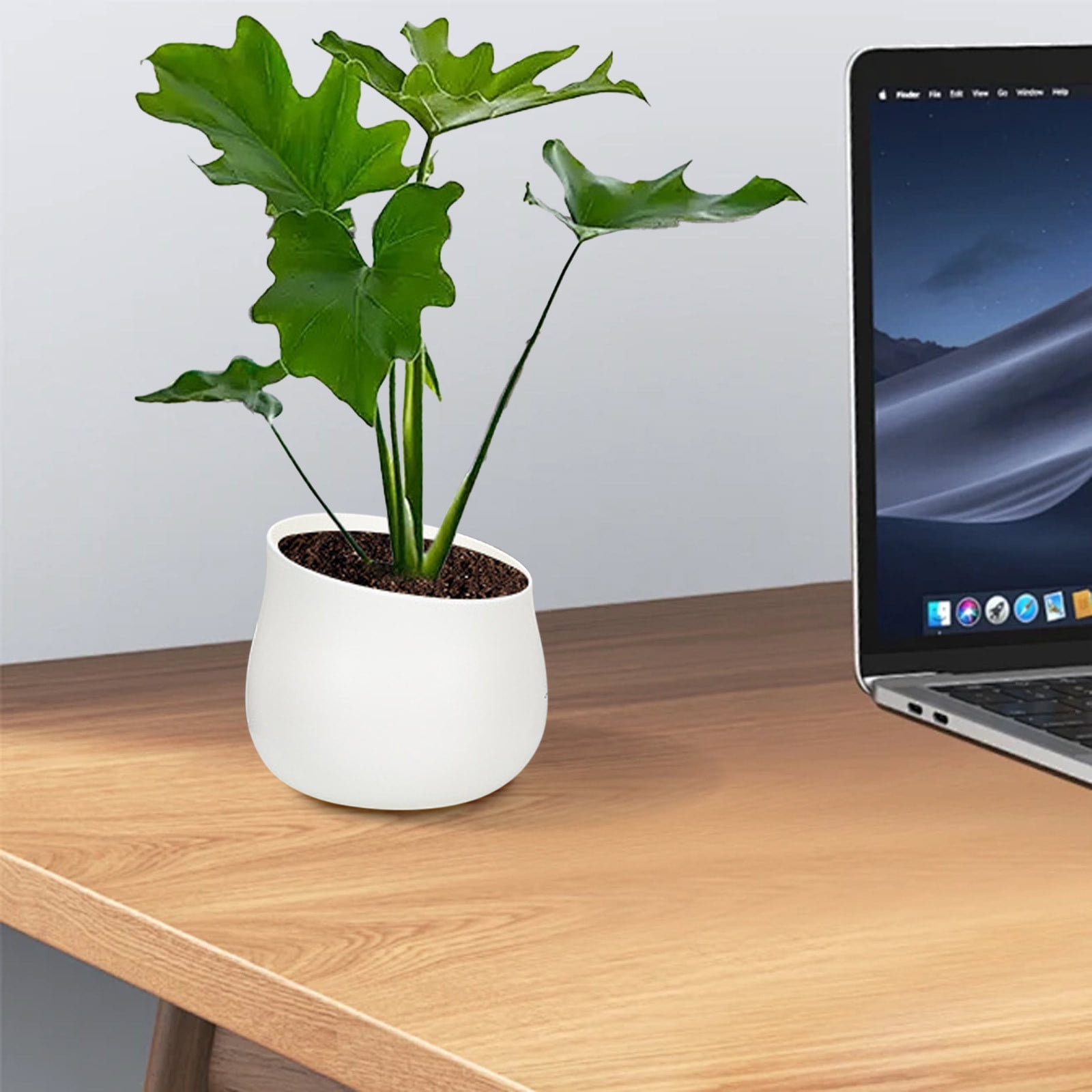 Round Planter Pot Vintage-Style White Flower Pots Indoor Textured ...