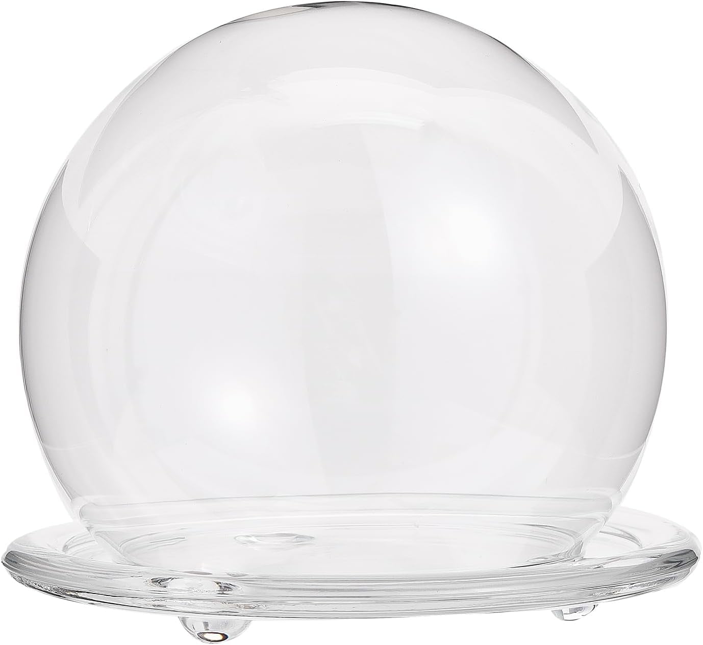 Round Shape Glass Cloche Globe Display Dome Cover Terrarium with Glass ...