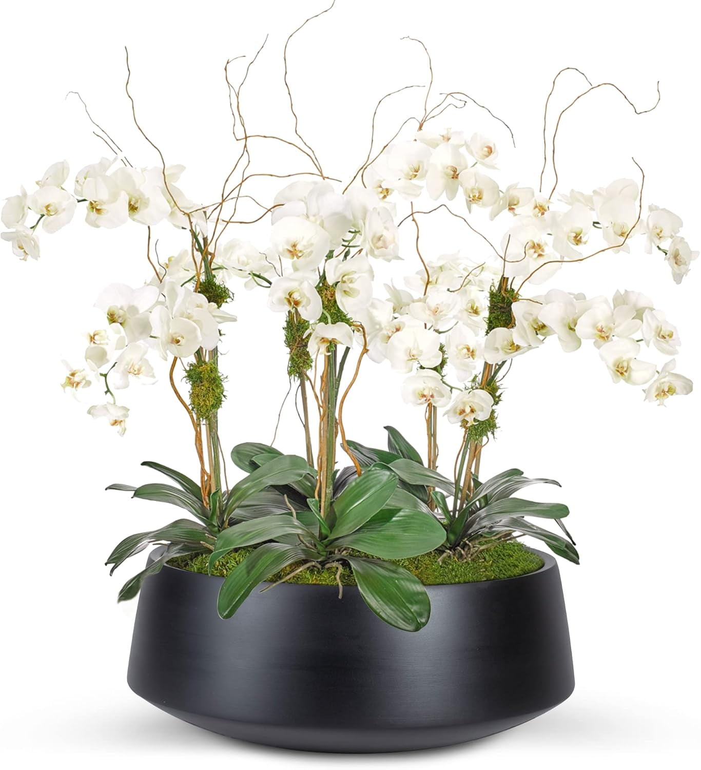 Round Sleek Black Ceramic Centerpiece Planter Pot - Modern Decorative ...