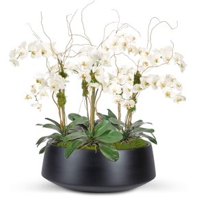 HIGOLD 10 Inch Indoor Flower Planter with Drainage, Marble White ...