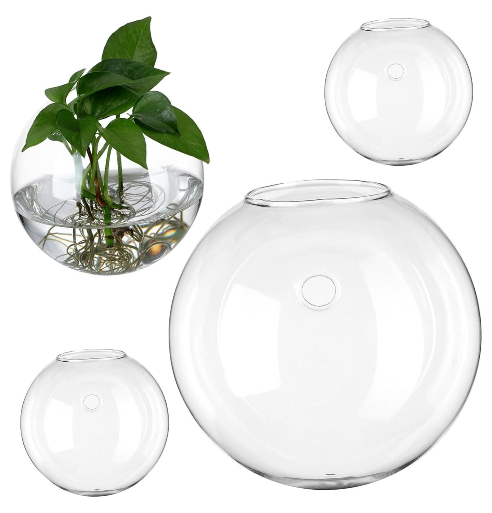 Round Wall Hung Vase 4 Pack Glass Flower Holders for Plants Wall ...