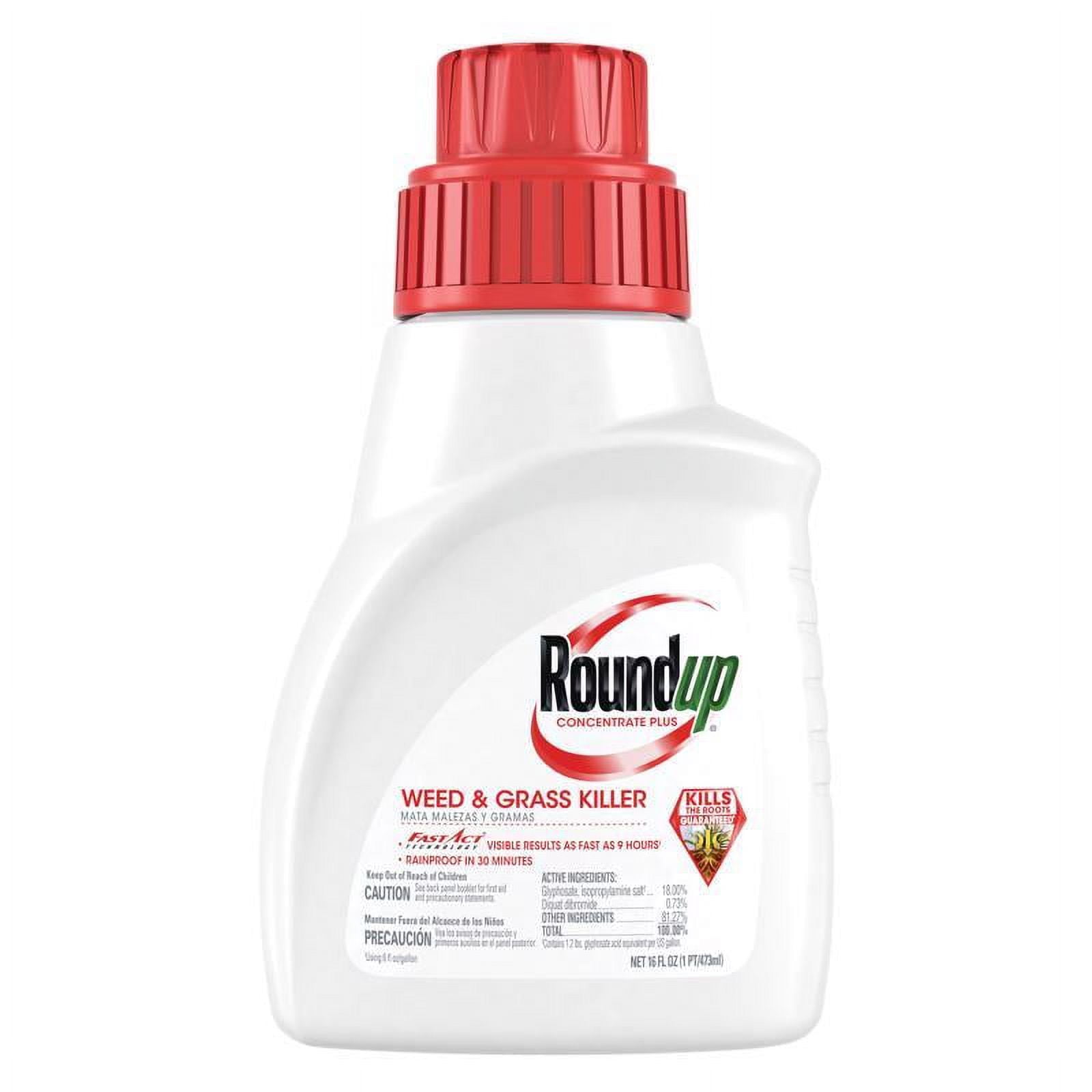 Roundup Concentrate Plus Weed & Grass Killer, 16 oz. - Walmart.com