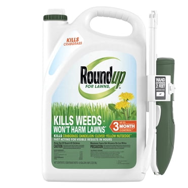 Image All-in-One Lawn Weed Killer Herbicide, 24 oz. Concentrate ...