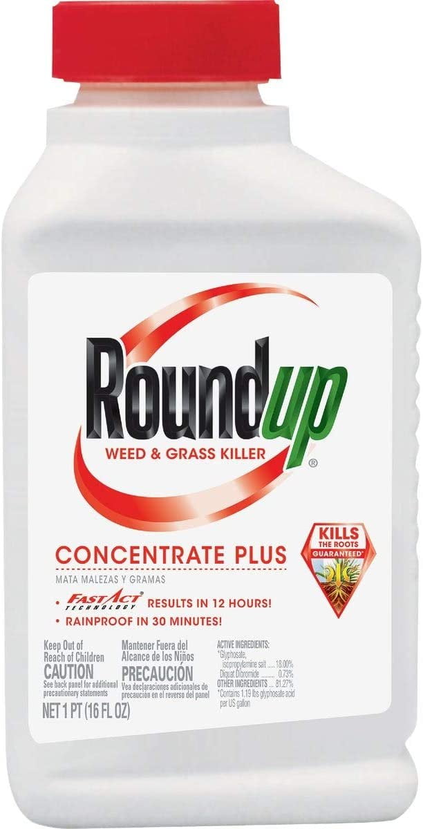 Roundup Weed & Grass Killer Concentrate 16 oz - Walmart.com