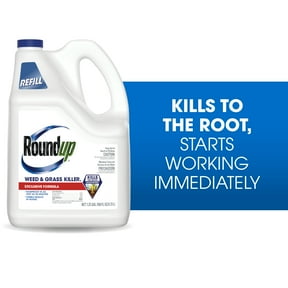 Roundup Pro Herbicide Concentrate - Pre-Emergent Weed Killer Treatment ...