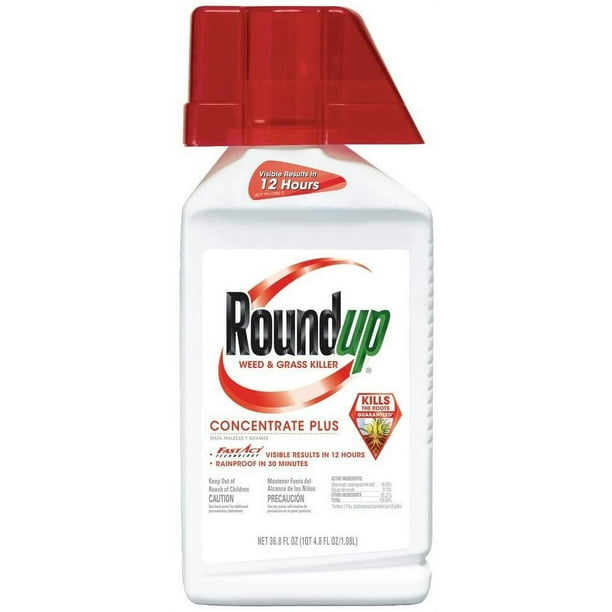 Roundup Weed and Grass Concentrate Plus Killer Case of 12, 36.8 oz ...