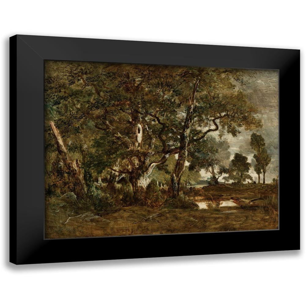 Rousseau, Theodore 18x15 Black Modern Framed Museum Art Print Titled ...