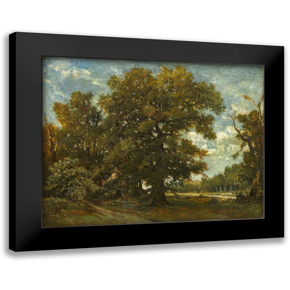 Rousseau, Theodore 24x20 Black Modern Framed Museum Art Print Titled ...