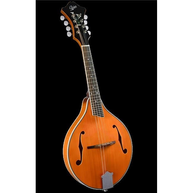 Rover RM-70S Student A-Model Mandolin with ABS Dots - Amber - Walmart.com