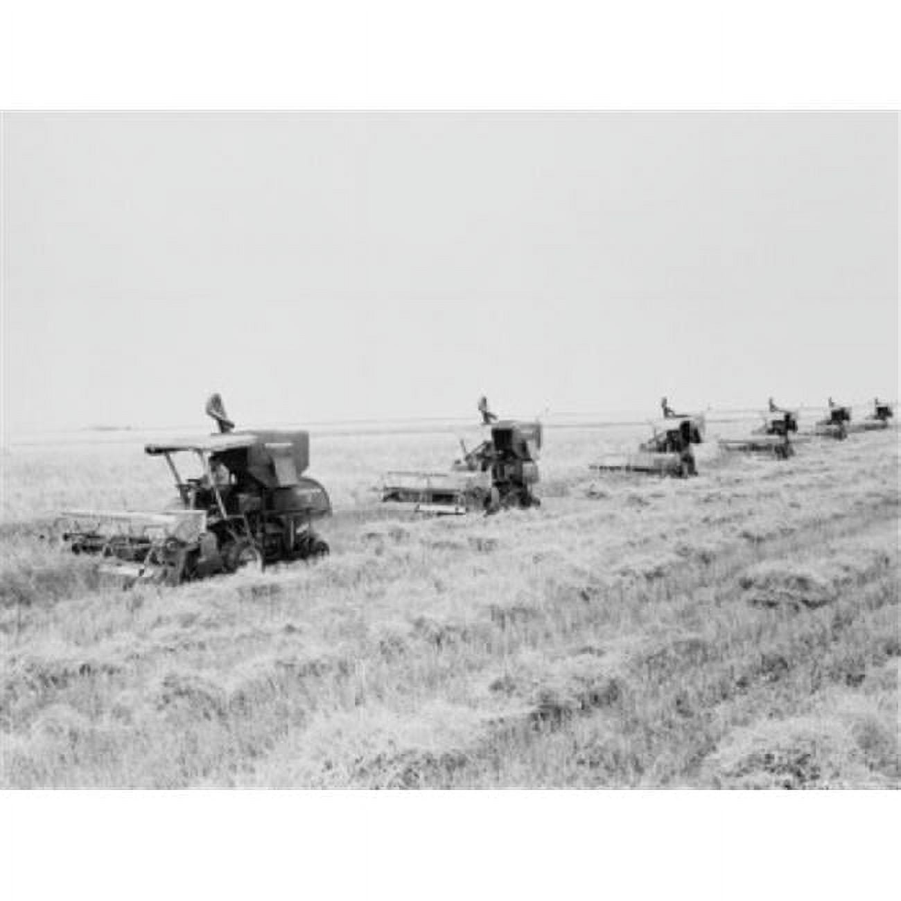 Row of Combine Harvesters in Wheat Field Poster Print - 18 x 24 in ...