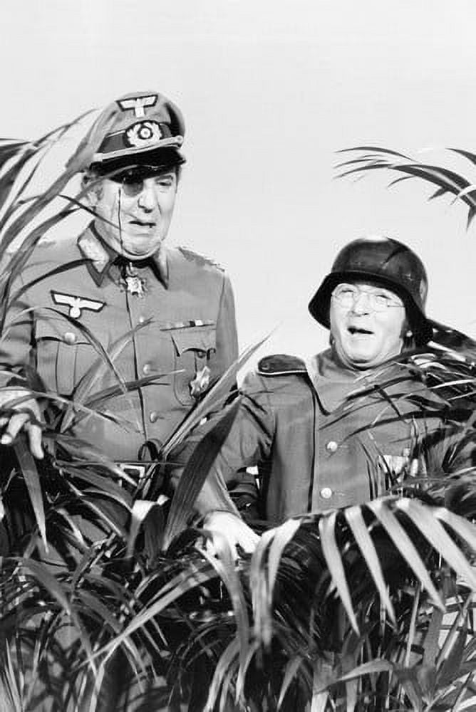Rowan & Martin's Laugh-In Arte Johnson 24x36 Poster - Walmart.com