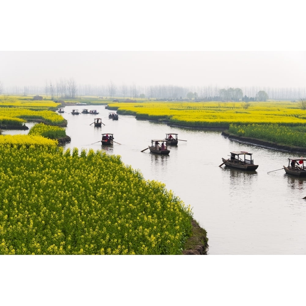 Rowing boat on river through Thousand-Islet canola flower fields ...
