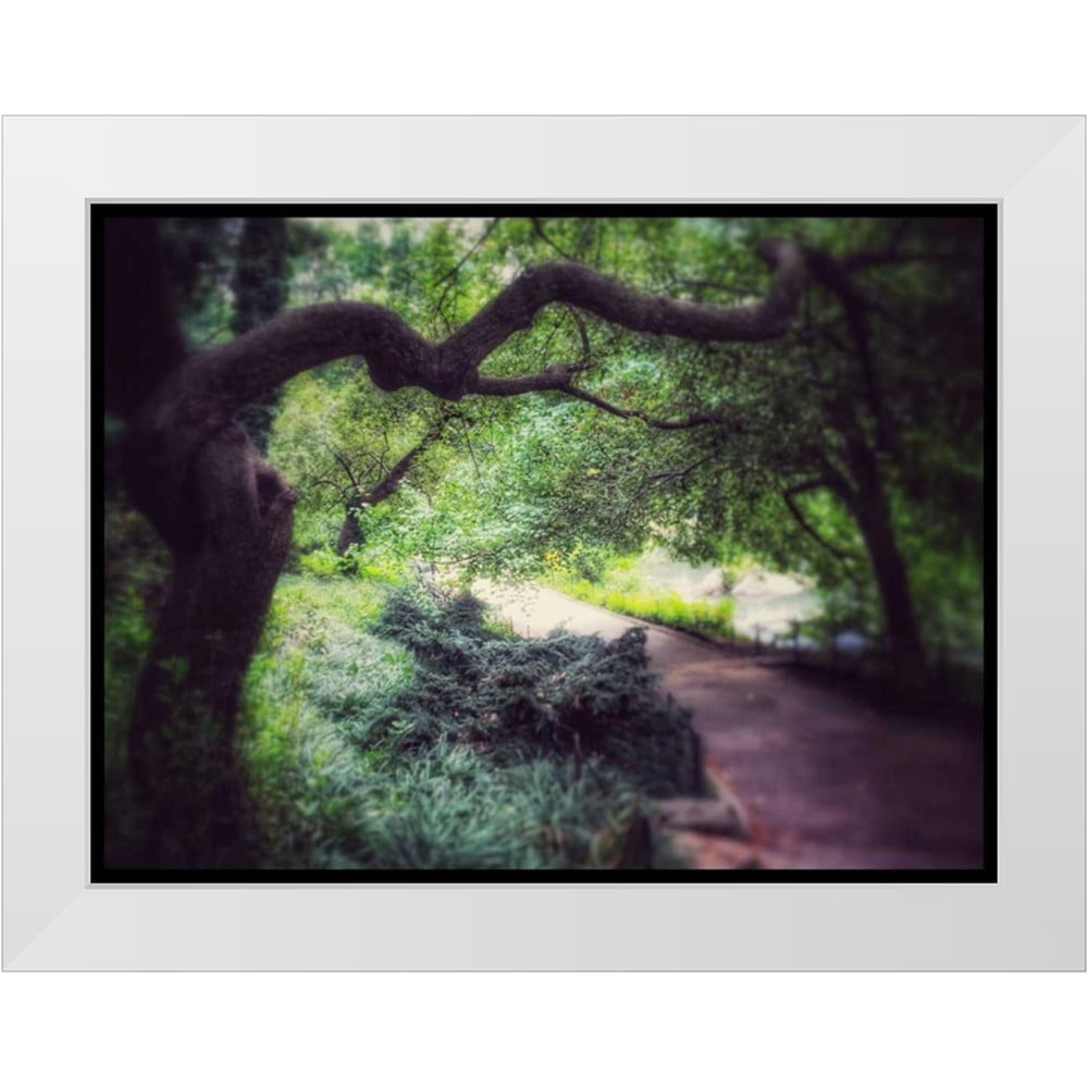 Rowland, Joseph 14x12 White Modern Wood Framed Museum Art Print Titled ...