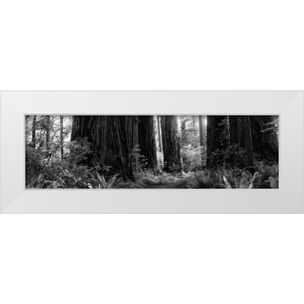 Rowland, Joseph 18x8 White Modern Wood Framed Museum Art Print Titled ...
