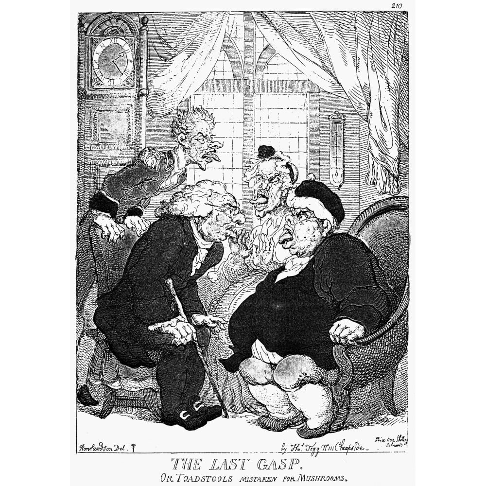 Rowlandson Quack Doctor. N'The Last Gasp Or Toadstools Mistaken For ...