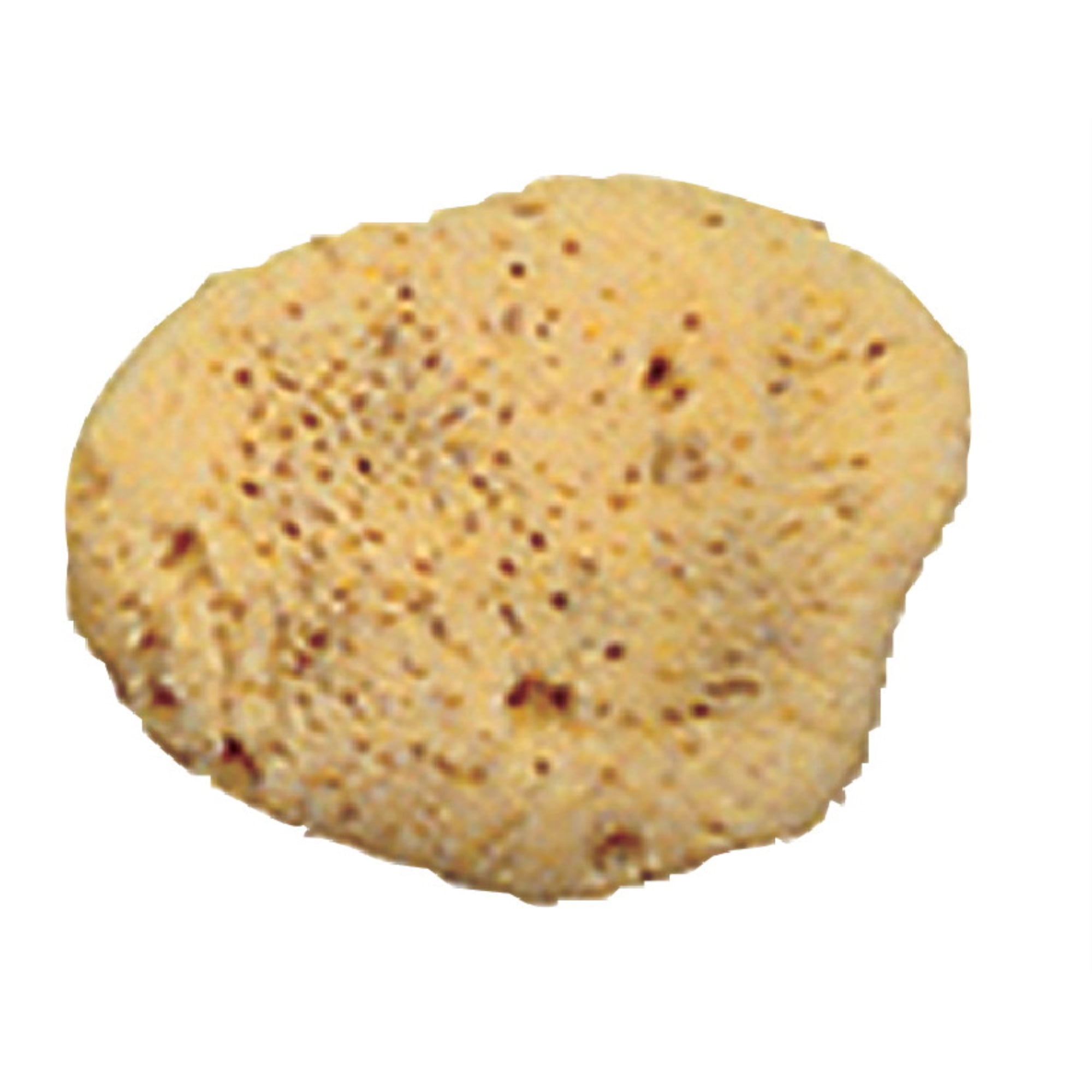 Royal Brush All Purpose Imported Mediterranean Silk Pottery Sponge, 2 ...