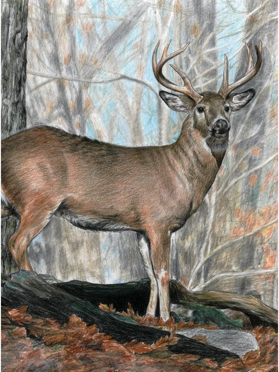 Royal Brush Color Pencil by Number Kit, 8.75 by 11.75-Inch, Whitetail ...