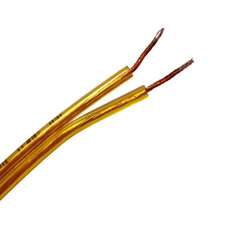 Royal Designs Clear Gold 12 Foot Replacement Lamp Cord with Molded Plug ...